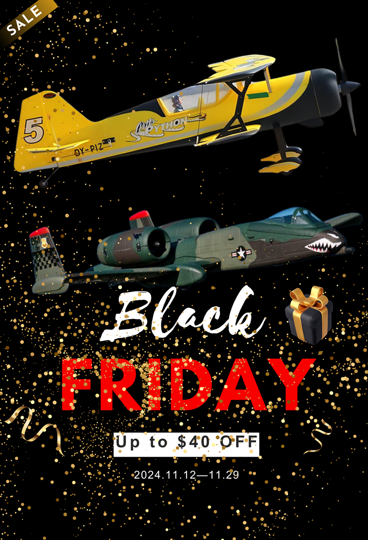 Dynam RC Airplanes Back Friday & Cyber Monday Sales
